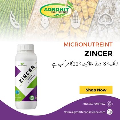 Zincer – Agrohit Crop Science